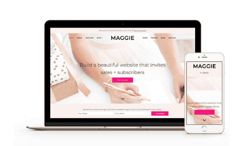 Top Responsive Clean Minimalist WordPress Themes